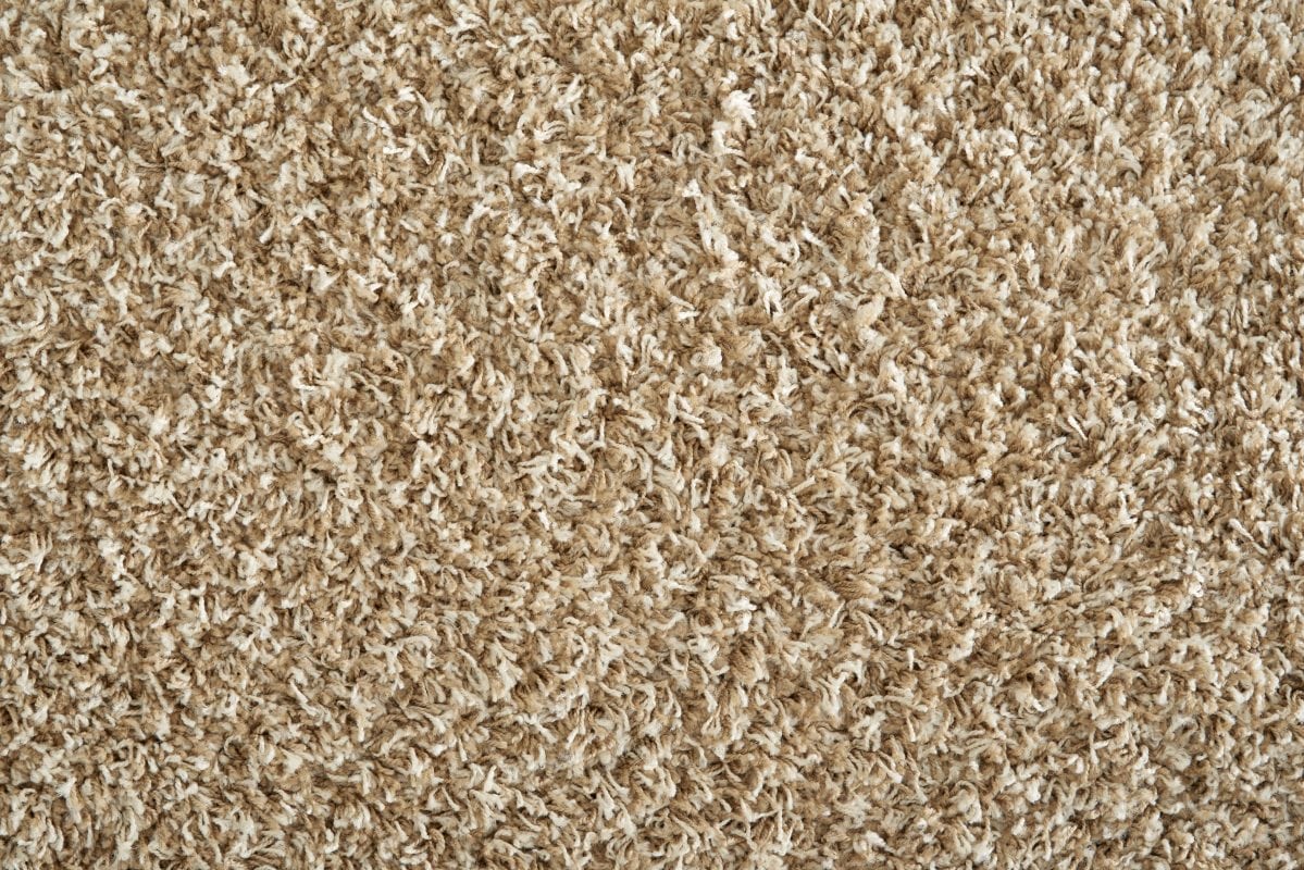 Shagtastic French Beige - Fovama Rugs & Carpets of Westchester, New ...